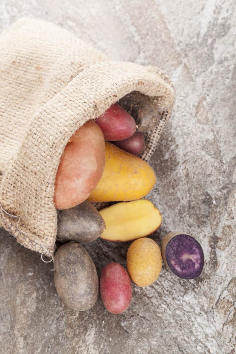 Let's Call The Whole Thing Off • You Say Potatoes