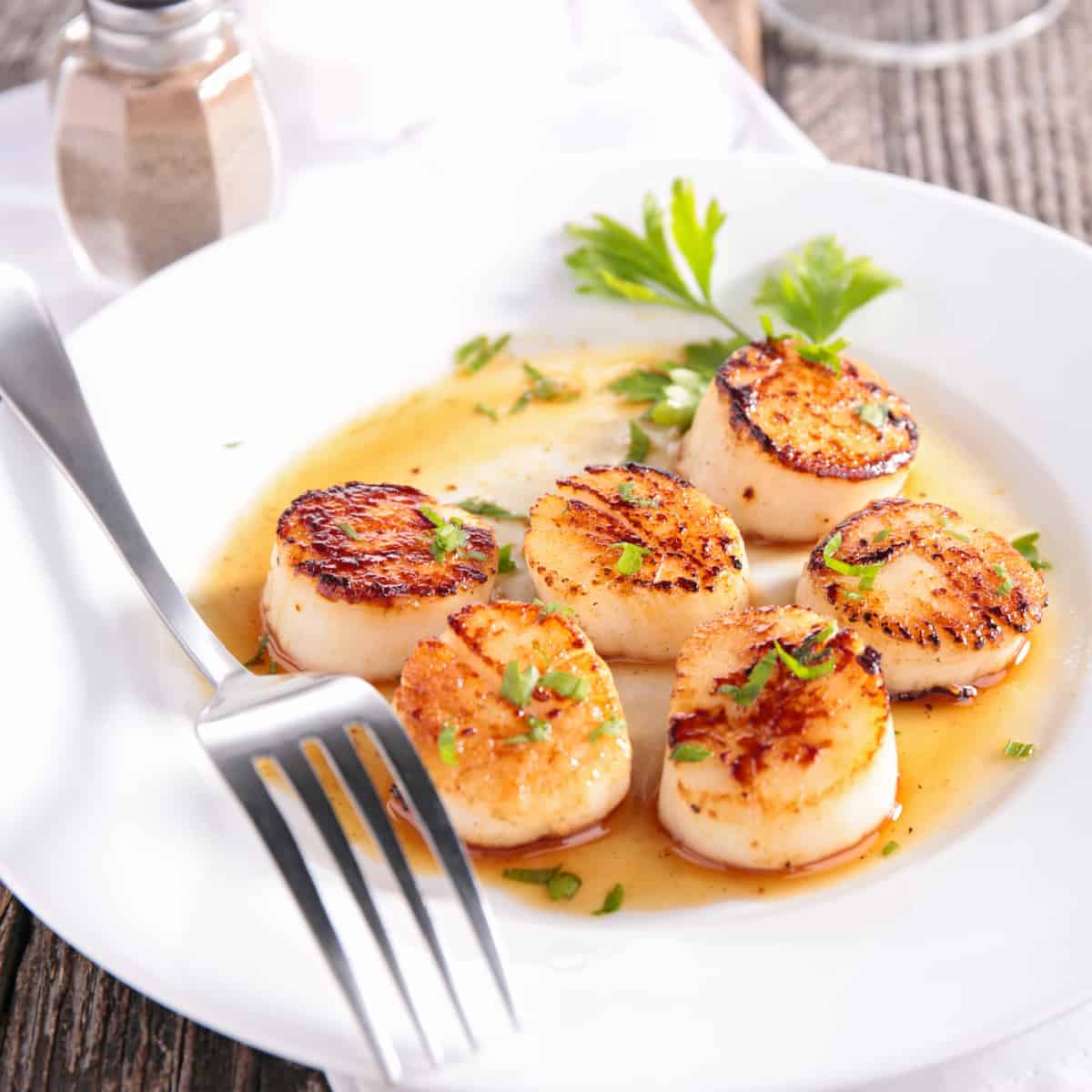 What are Scallops - Recipes and Info • You Say Potatoes
